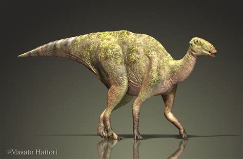 Hadrosaurus Pictures And Facts The Dinosaur Database