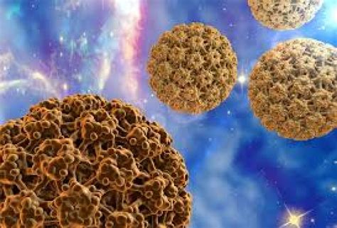 Hpv Human Papillomavirus Overview And Key Facts