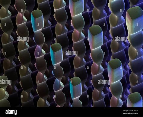 Mems Neural Interface Chip Coloured Scanning Electron Micrograph Of An Electrode Array From A