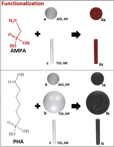 Schematic Representation Of Self‐assembling Pha And Ampa Sam Molecules Download Scientific