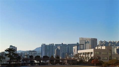 낭만 넘치는 아름다운 대학 켐퍼스 Youtube