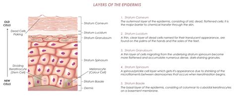 Masks And Peels Body Care Center