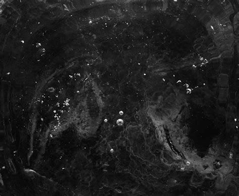 News And Events Peapod Bio