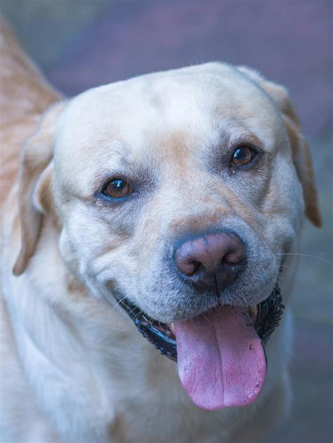 Bestcutetrapsgallery Photos Download The Best Free Bestcutetraps