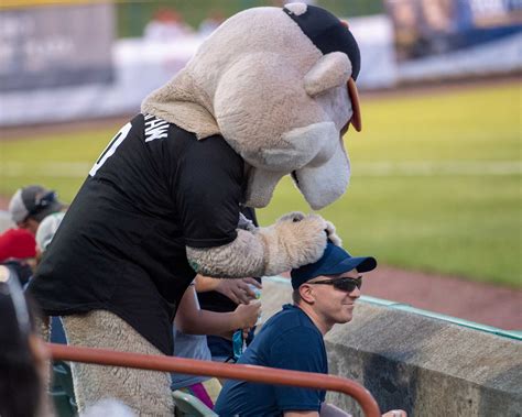 Despite Humbling Defeat Valleycats Celebrate Return Of Baseball To