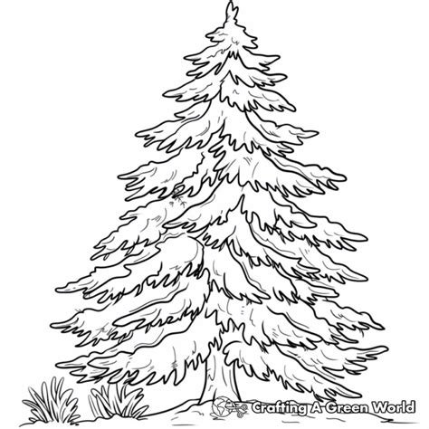 Winter Tree Coloring Pages Free And Printable
