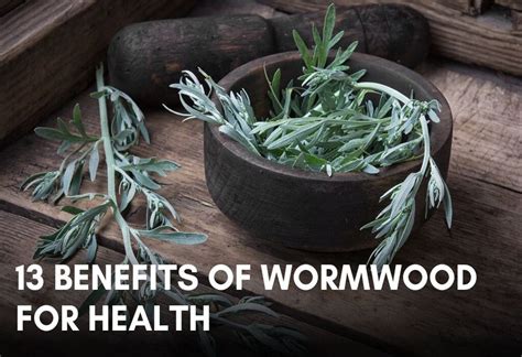 13 Benefits Of Wormwood For Health Vinatura Supplements
