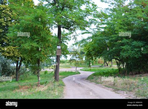 Natural With Unusual Landscape And Forest Beauty Near Samara River Green Hills Trees Shrubs