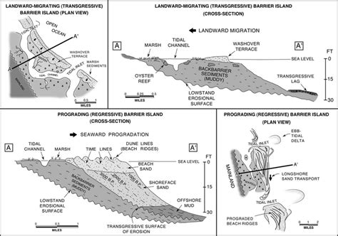 Morphology And Subsurface Three Dimensional Configuration Download