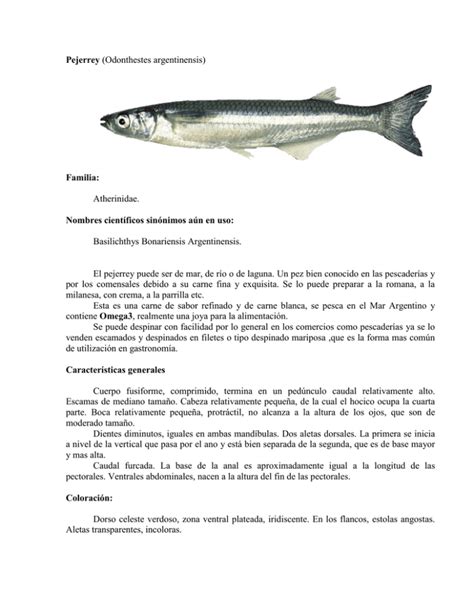 Pejerrey De Mar