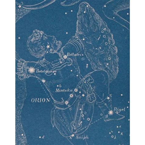 Orion Constellation Art Shop On Pinterest