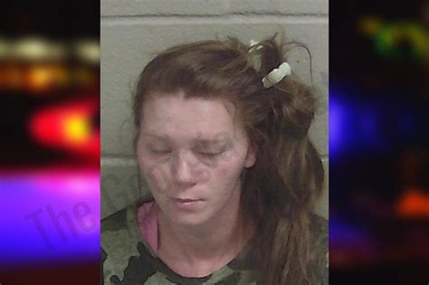 Miranda Harrison — Wayne County Jail Bookings