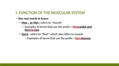 Muscularsystemstructureandfunctionpptx