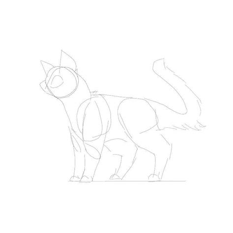 How To Draw A Warrior Cat Kit Step By Step