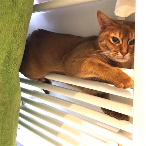 Amber And Leo Culbert Added A New Amber And Leo Culbert