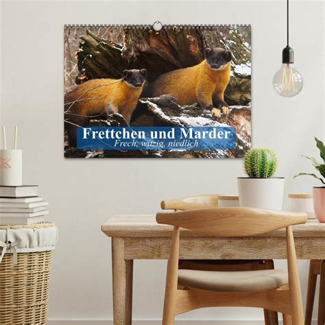 Frettchen Und Marder Frech Witzig Niedlich