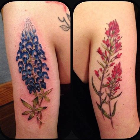 Indian Paintbrush Tattoos Indian Paintbrush Flower Tattoo Mmod