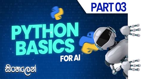 Python Basics Sinhala For And While Loops Functions And Docstrings