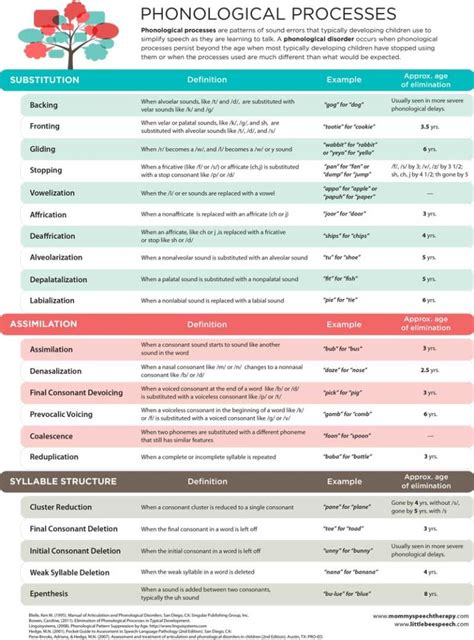 Phonological Processes Chart Artofit