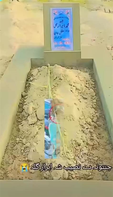 💪لین کی شہ کنی عالم دی💪 خان سرہ یاری مے دا Facebook