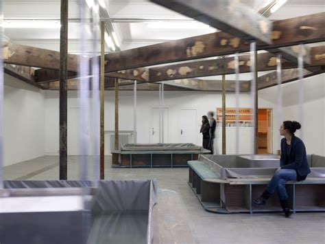 Plafond Tamponneur 2013 Assemblage De Planches De Contreplaqué Bâches En Plastique Eau