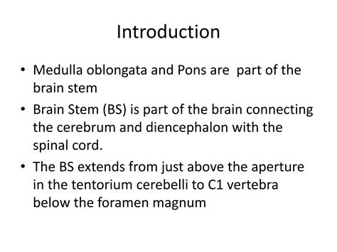 The Rhombencephalon Or Hind Brainppt