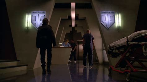 The Potential Future Fringe Connections