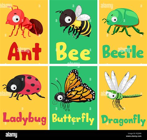 Illustration Of Insects Flash Cards From Ant Bee Beetle Ladybug
