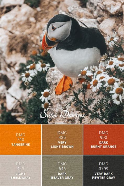 Patient Puffin In 2024 Color Schemes Colour Palettes Orange Color