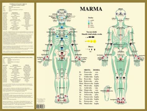 Marma A2 Poster By Jan Van Baarle 9789070281663 Buy Online At The