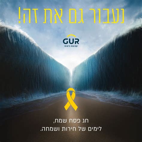 לימים של חרות חג אביב מלא בשורות טובות לכולנו יחדיו אבנר Gur Group Avner Levi Adv Llm Llb