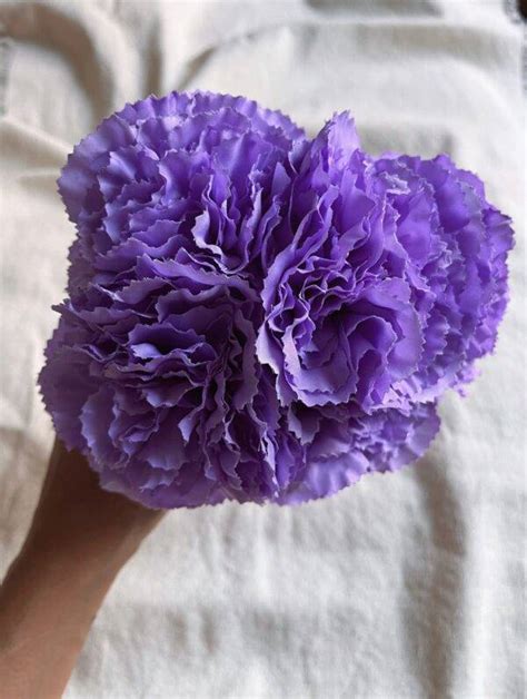 Ramillete Claveles Lila Colette Joyas Y Complementos