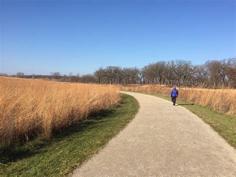 Grassy Lake Forest Preserve Been There Seen That