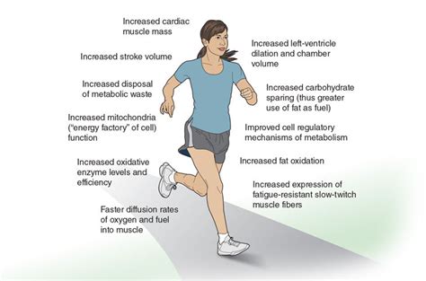 Discover The Benefits Of Training On Health And Athletic Performance Human Kinetics Canada