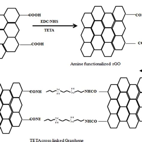 Fesem Micrographs Of A Graphene Oxide B Amine Functionalized Rgo