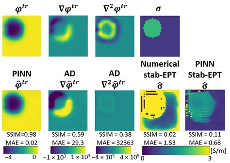 Physics Informed Neural Networks Pinn For Low Snr Magnetic Resonance
