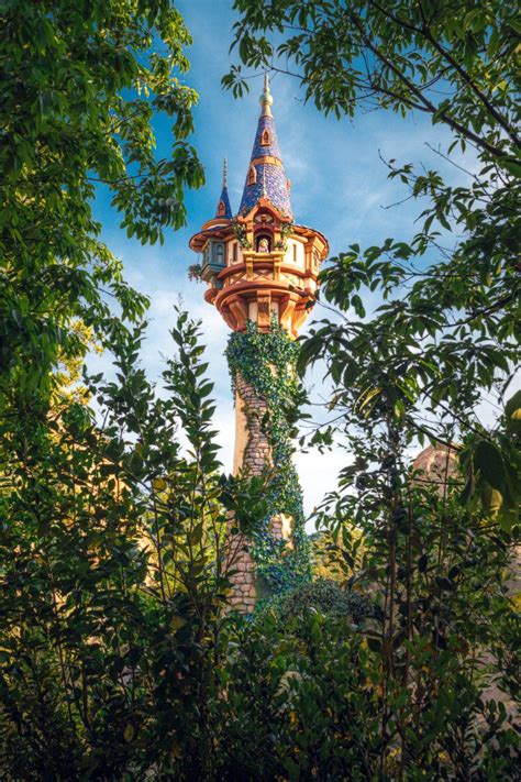 200 Rapunzel Aesthetic Ideas Rapunzel Disney Tangled Tangled Wedding
