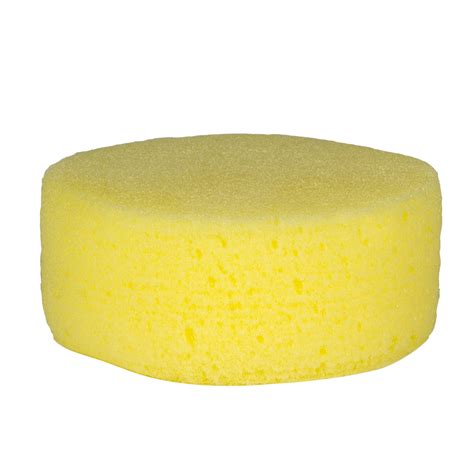 Round Sponge