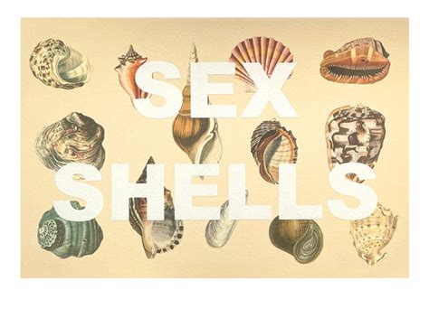 Ménage à Trois Sex Shells