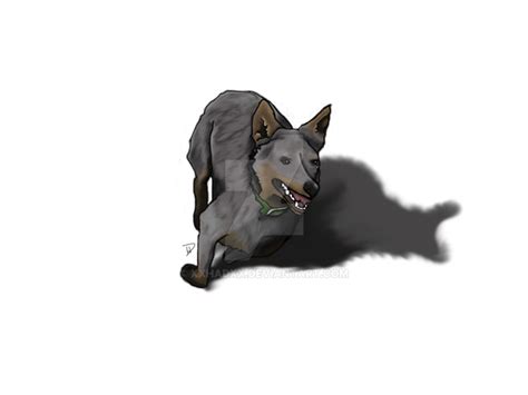 Maycee By Xxhadxx On Deviantart