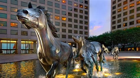 Las Colinas Attractions Omni Las Colinas Hotel