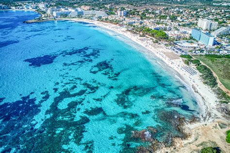 Discover Mallorca Sa Coma Treurer Aceite De Oliva Virgen De Mallorca
