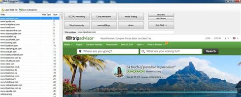 The Interface Of The Program Used To Classify The Search Results