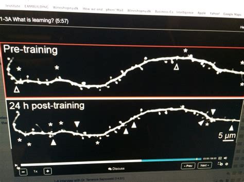 Learn By Sleeping…