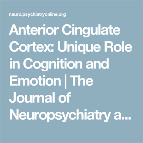Anterior Cingulate Cortex Understanding Its Role In Cognition And Emotion