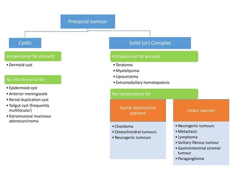Diagnostic Challenge In Presacral Mass In An Adult Patient A Case