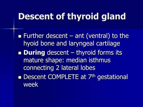 Ppt Thyroid Embryology Powerpoint Presentation Free Download Id463689