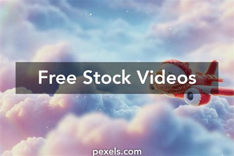 Cute Doge Videos Download The Best Free 4k Stock Video Footage And Cute