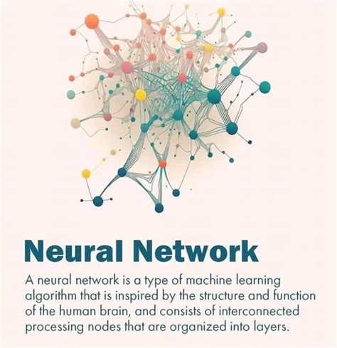 pythondeveloper pythonprogramming pythondevelopment senior… shamas ulhaq