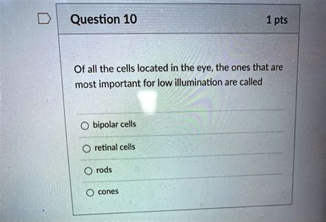 Solved Of All The Cells Located In The Eye The Ones That Are Most